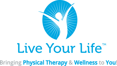 The Basics of Balanced Eating | Live Your Life Physical Therapy